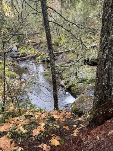 2023 Best Forest Trails in Eagle Point | AllTrails