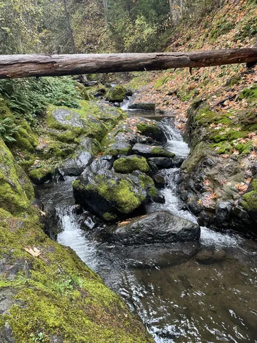 2023 Best Forest Trails in Eagle Point | AllTrails