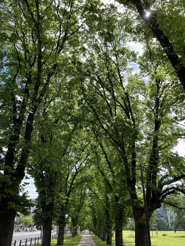 Best Hikes and Trails in Fawkner Park | AllTrails