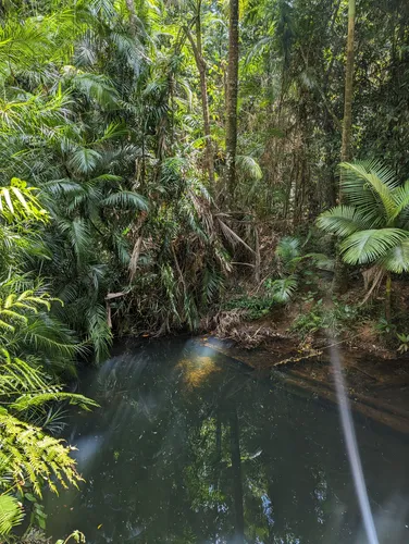 Best 10 Hiking Trails in Djiru National Park | AllTrails