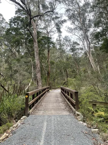 Best Hikes and Trails in Colquhoun State Forest | AllTrails