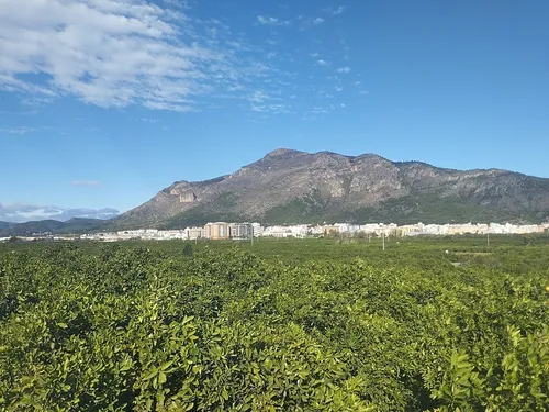 Best Hikes and Trails in Marjar de la Safor | AllTrails