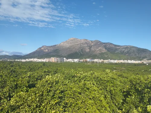 Best Hikes and Trails in Marjar de la Safor | AllTrails