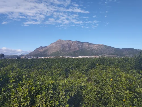 Best Hikes and Trails in Marjar de la Safor | AllTrails