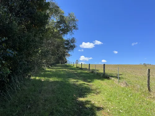 Best Forest Trails in Witta | AllTrails