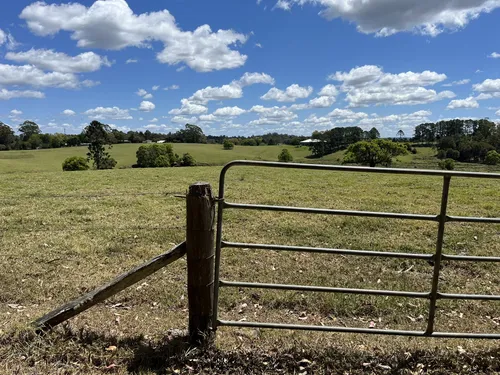 Best Forest Trails in Witta | AllTrails