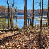 Pine Swamp Loop, New York - 1,220 Reviews, Map | AllTrails