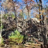 Pine Swamp Loop, New York - 1,220 Reviews, Map | AllTrails