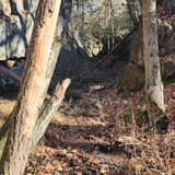 Pine Swamp Loop, New York - 1,220 Reviews, Map | AllTrails