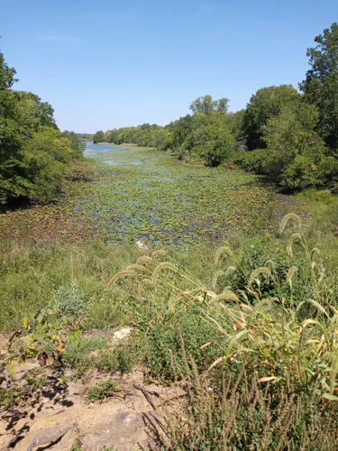 Best Hikes and Trails in Red Haw State Park | AllTrails