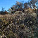 Broad Meadow Brook Trail, Massachusetts - 831 Reviews, Map | AllTrails