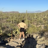 Signal Hill Trail, Arizona - 1,119 Reviews, Map | AllTrails