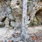 Angel Windows Trail, Kentucky - 1,129 Reviews, Map | AllTrails