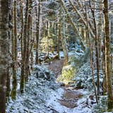 Mount Success via Appalachian Trail, New Hampshire - 457 Reviews, Map ...