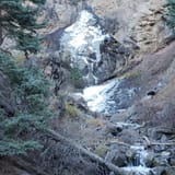 Treasure Falls Trail, Colorado - 1,200 Reviews, Map | AllTrails