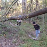 Moon Seed Loop, Louisiana - 381 Reviews, Map | AllTrails