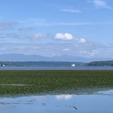 Norrie Point Trail, New York - 791 Reviews, Map | AllTrails