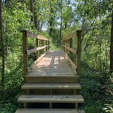Norrie Point Trail, New York - 791 Reviews, Map | AllTrails