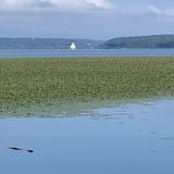 Norrie Point Trail, New York - 791 Reviews, Map | AllTrails