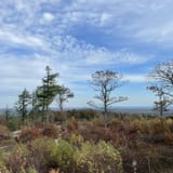 Mount Agamenticus via Blueberry Bluff, Witch Hazel, and Ring Trail ...