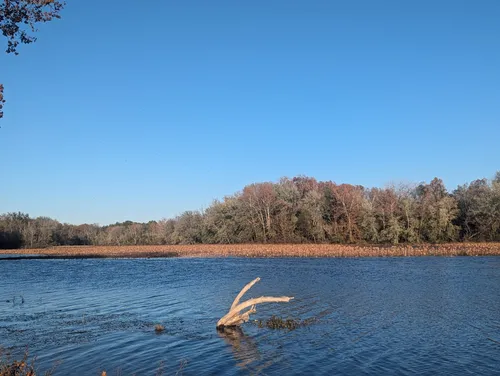 Best Hikes and Trails in Lake Springfield Park | AllTrails