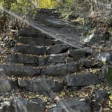 Allison Park Loop, New Jersey - 954 Reviews, Map | AllTrails