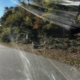 Allison Park Loop, New Jersey - 954 Reviews, Map | AllTrails