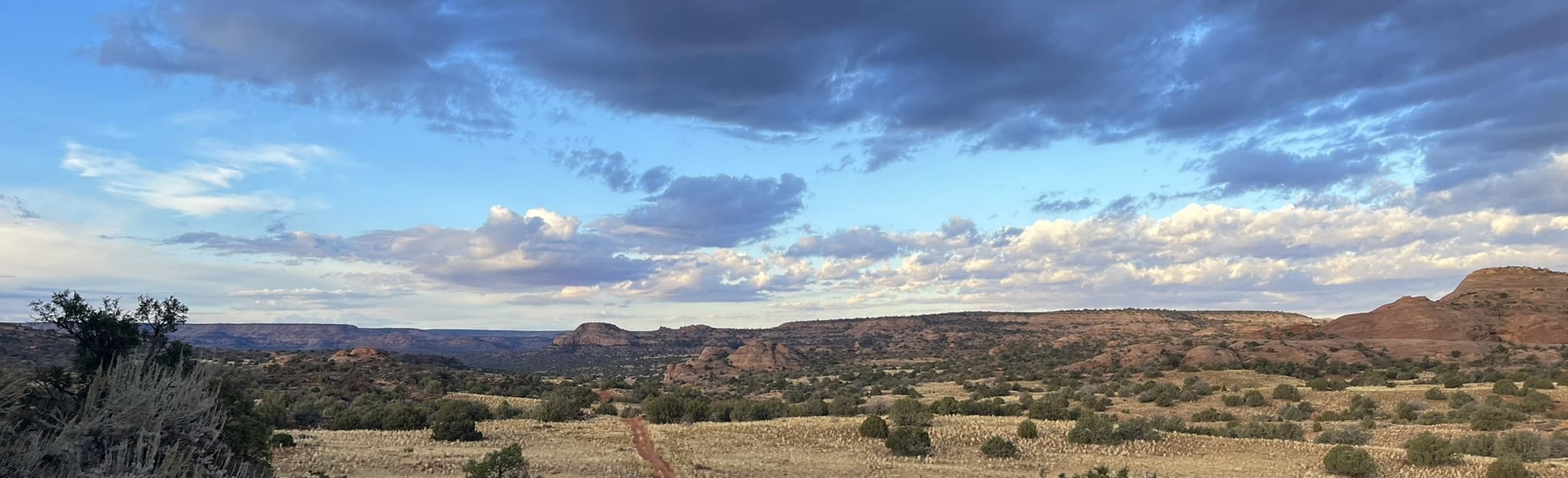 Behind the Rocks OHV Trail: 244 foto's - Utah | Wandelen - AllTrails