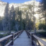 Sentinel Meadow Cook's Meadow Loop Trail, California - 2,858 Reviews ...