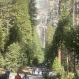 Sentinel Meadow Cook's Meadow Loop Trail, California - 2,858 Reviews ...