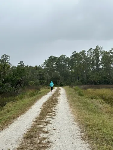 Best Hikes and Trails in Guana River Wildlife Management Area | AllTrails