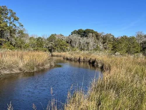Best Hikes and Trails in Currituck Banks Reserve | AllTrails