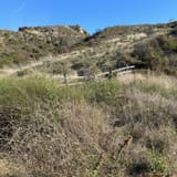 Trippet Ranch to Eagle Springs Loop Trail, California - 808 Reviews ...