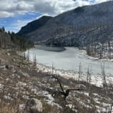 Cub Lake Loop, Colorado - 1,902 Reviews, Map | AllTrails