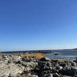 Timber Point, Maine - 397 Reviews, Map | AllTrails