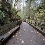 Madison Falls Trail, Washington - 1,589 Reviews, Map | AllTrails
