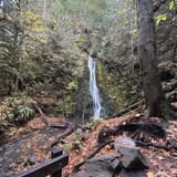 Madison Falls Trail, Washington - 1,589 Reviews, Map | AllTrails