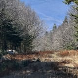 Bald Knob, West Virginia - 413 Reviews, Map | AllTrails