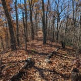 Sawtooth Ridge via Appalachian Trail, Virginia - 726 Reviews, Map ...