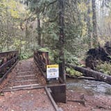 Mima Falls Loop, Washington - 1,410 Reviews, Map | AllTrails