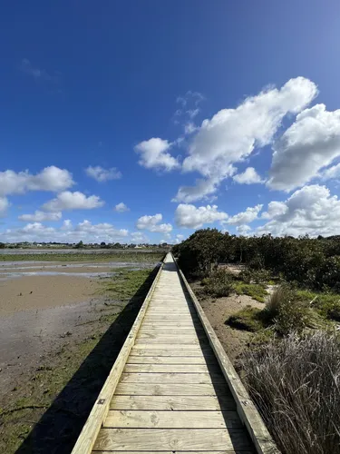 Best Hikes and Trails in Takanini | AllTrails