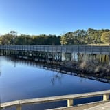 Sandy Run Park Loop, North Carolina - 83 Reviews, Map | AllTrails