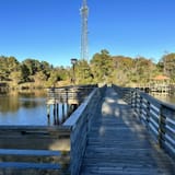 Sandy Run Park Loop, North Carolina - 83 Reviews, Map | AllTrails
