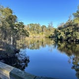 Sandy Run Park Loop, North Carolina - 93 Reviews, Map | AllTrails
