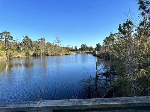 Best Hikes and Trails in Kitty Hawk Woods Coastal Preserve | AllTrails