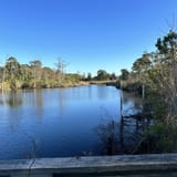 Sandy Run Park Loop, North Carolina - 83 Reviews, Map | AllTrails