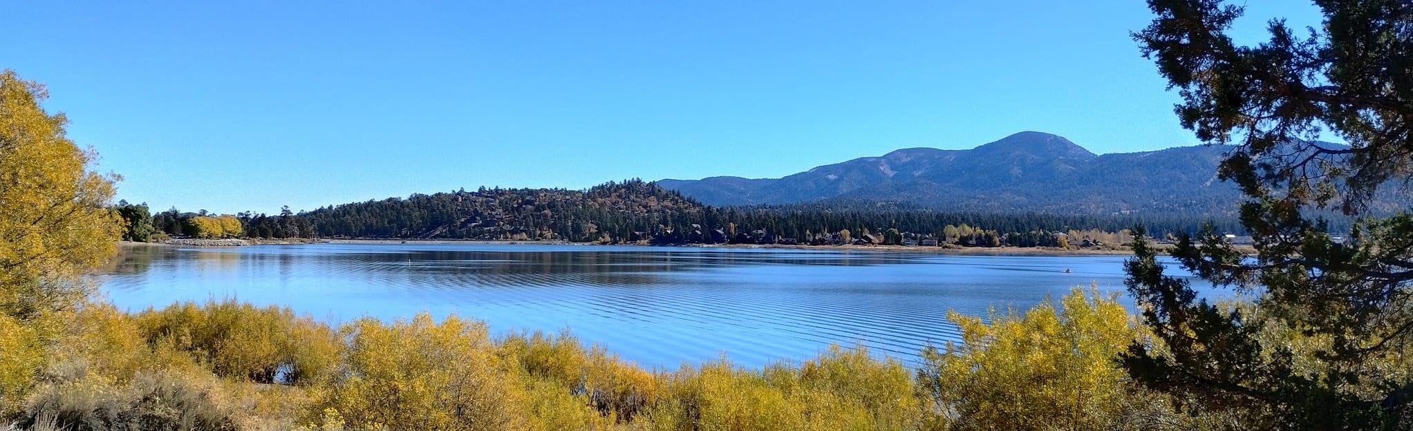 Alpine Pedal Path Trail, California - 742 Reviews, Map | AllTrails