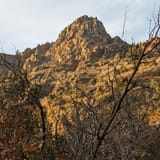 Lower Mill B North Fork Trail, Utah - 1,545 Reviews, Map | AllTrails