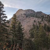 Lower Mill B North Fork Trail, Utah - 1,545 Reviews, Map | AllTrails