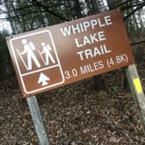 Whipple Dam Trail, Pennsylvania - 367 Reviews, Map | AllTrails